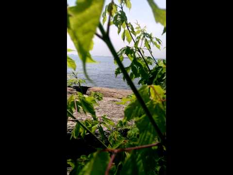 Gel Yanıma-Murat Ökmen