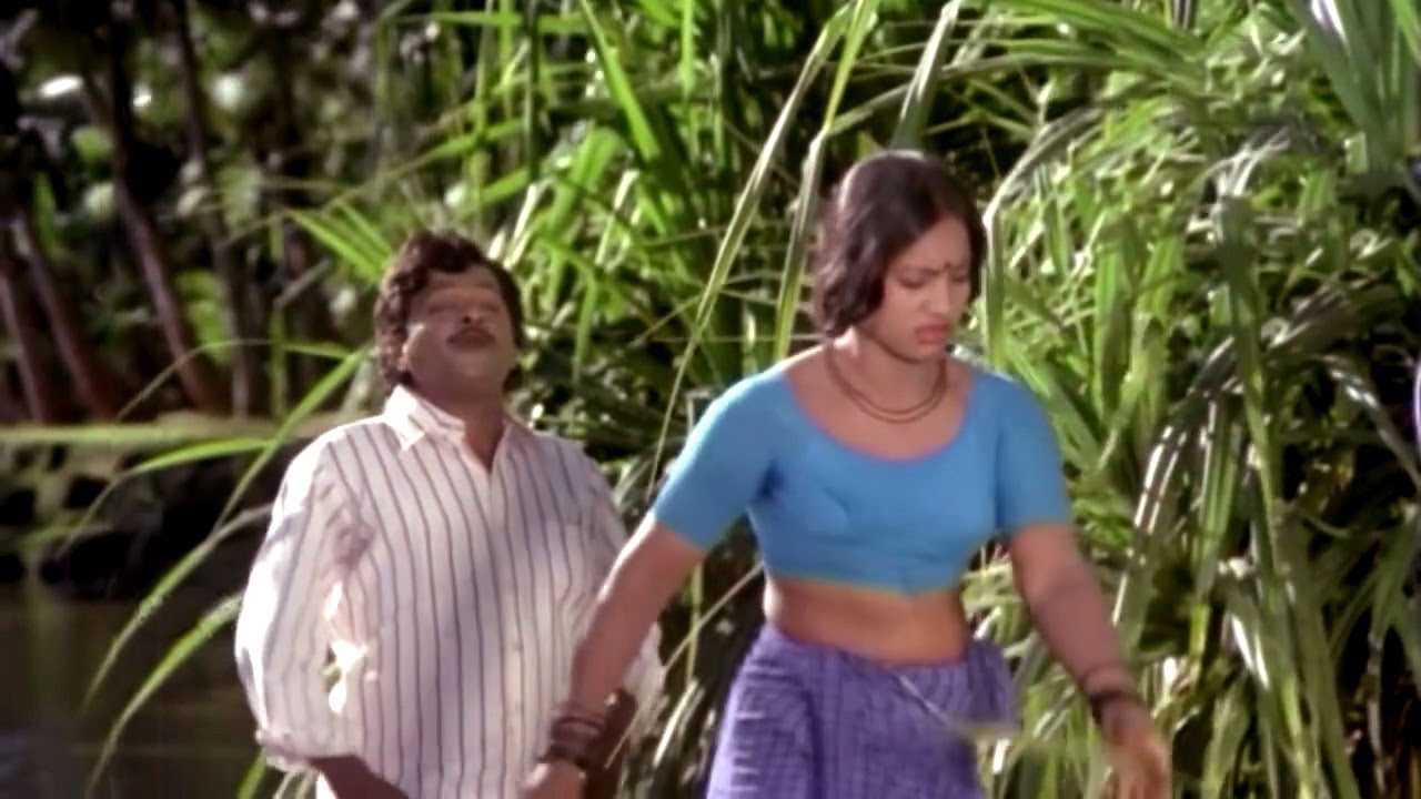കമലത്തിന് എന്നോട് പിണക്കമാണെന്ന് എനിക്കറിയാം ...!! Pappu | Seema ...