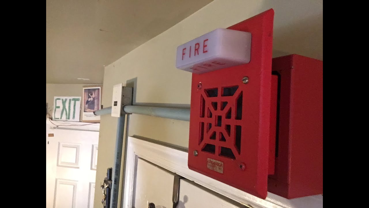 Notifier AFP-100 Test 8 (Wheelock 7001's) - YouTube