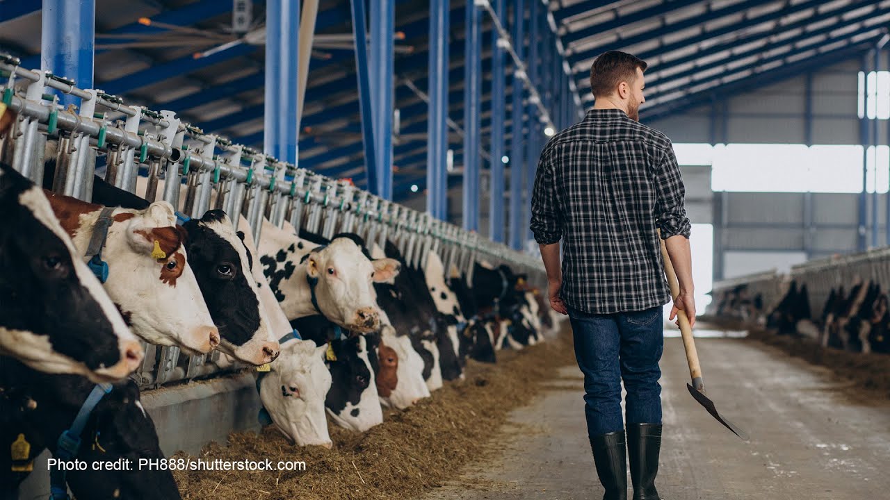Need to Know | The Farm Bill: What do Farmers and Ranchers Want From ...