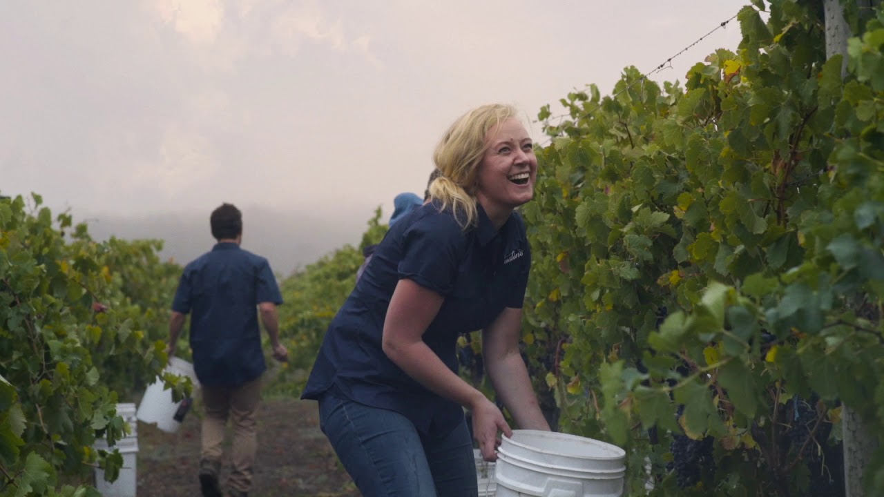 The Austin's Story 2019 - YouTube