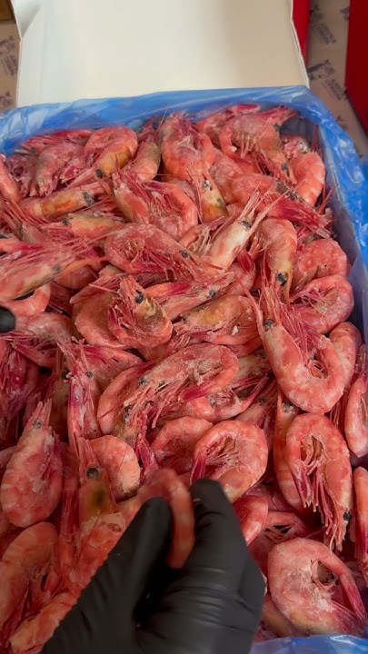 Свежее поступление вкуснейших и полезных морепродуктов 🍤 Youtube