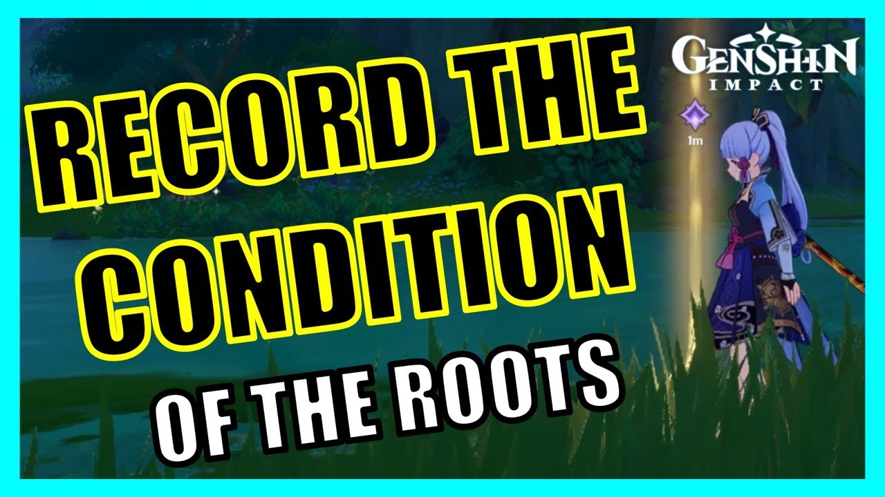 Record the Condition of the Roots - Genshin Impact - YouTube
