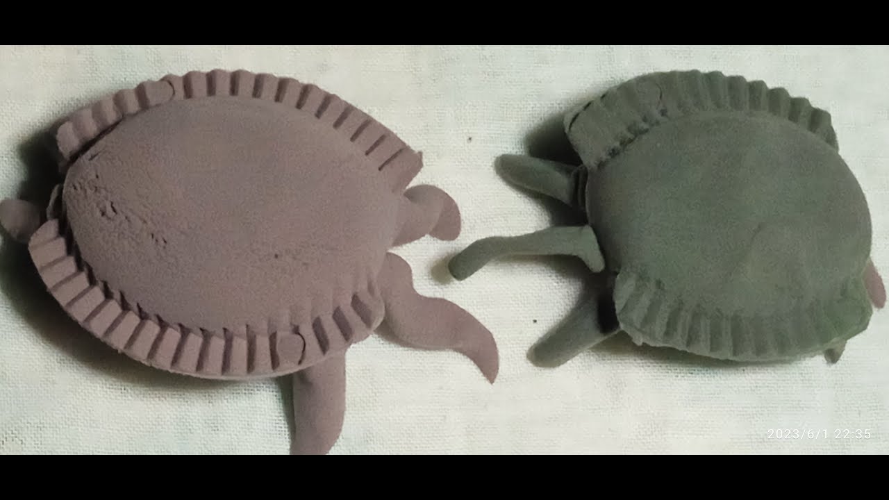 how to tortoise clay mansion video - YouTube