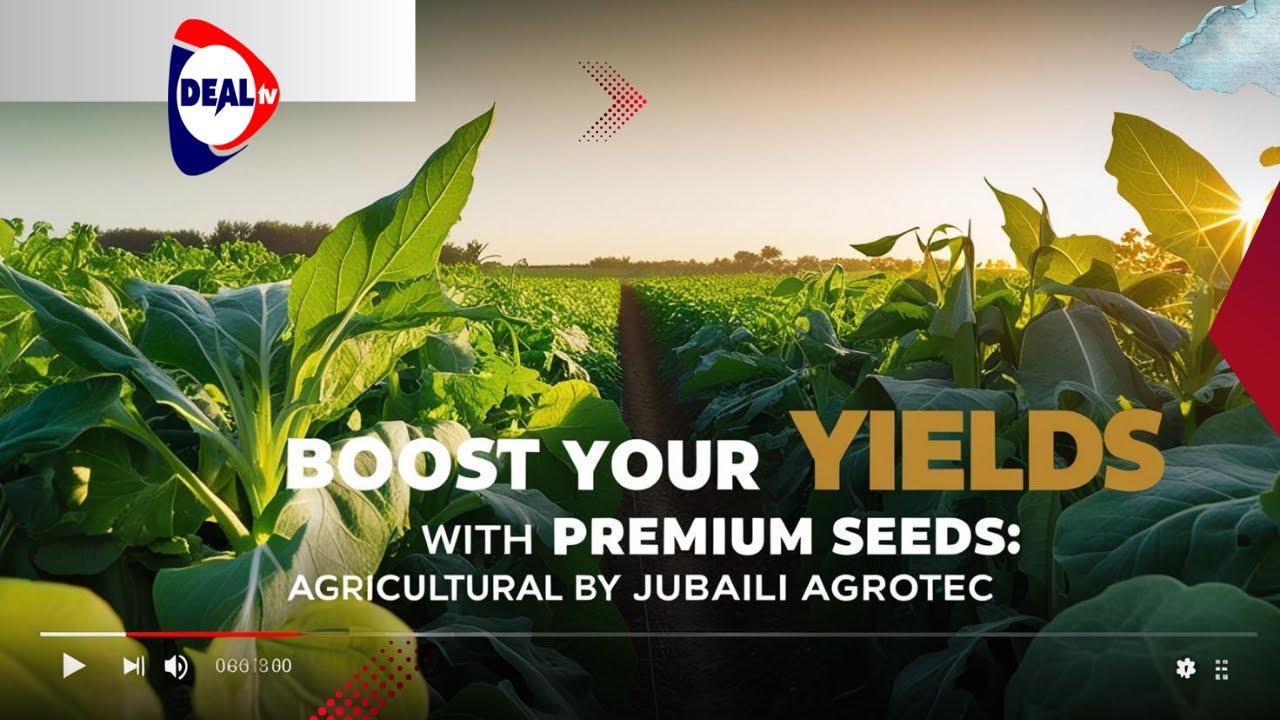 "Boost Your Yields with Premium Seeds: Agricultural Inputs by Jubaili Agrotec | Deal TV Africa ...