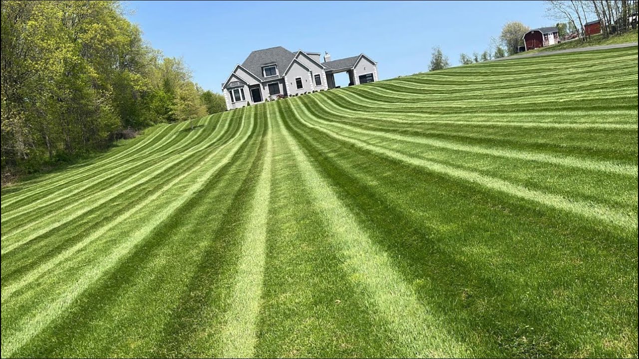 CORTANDO YARDAS - YouTube