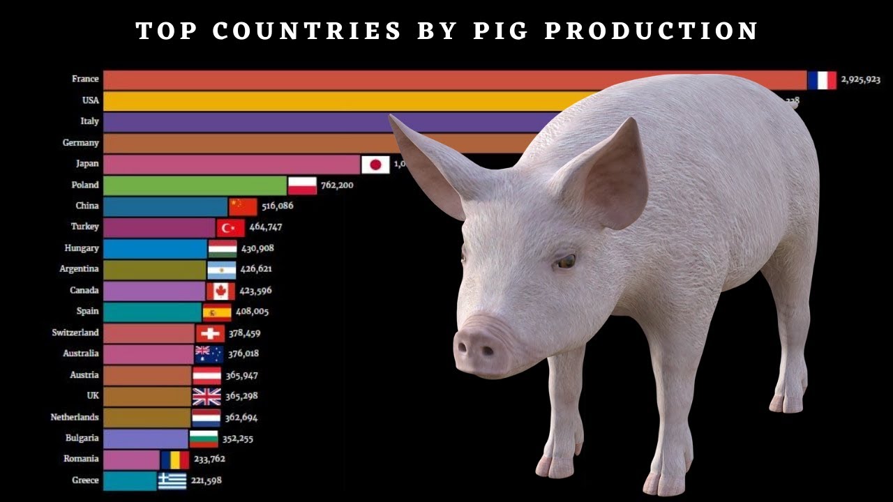 Pig Production Top Countries - YouTube