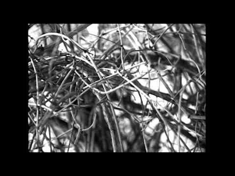 #193: Im Museum / T4 - Hartheim 1 (2011) - YouTube