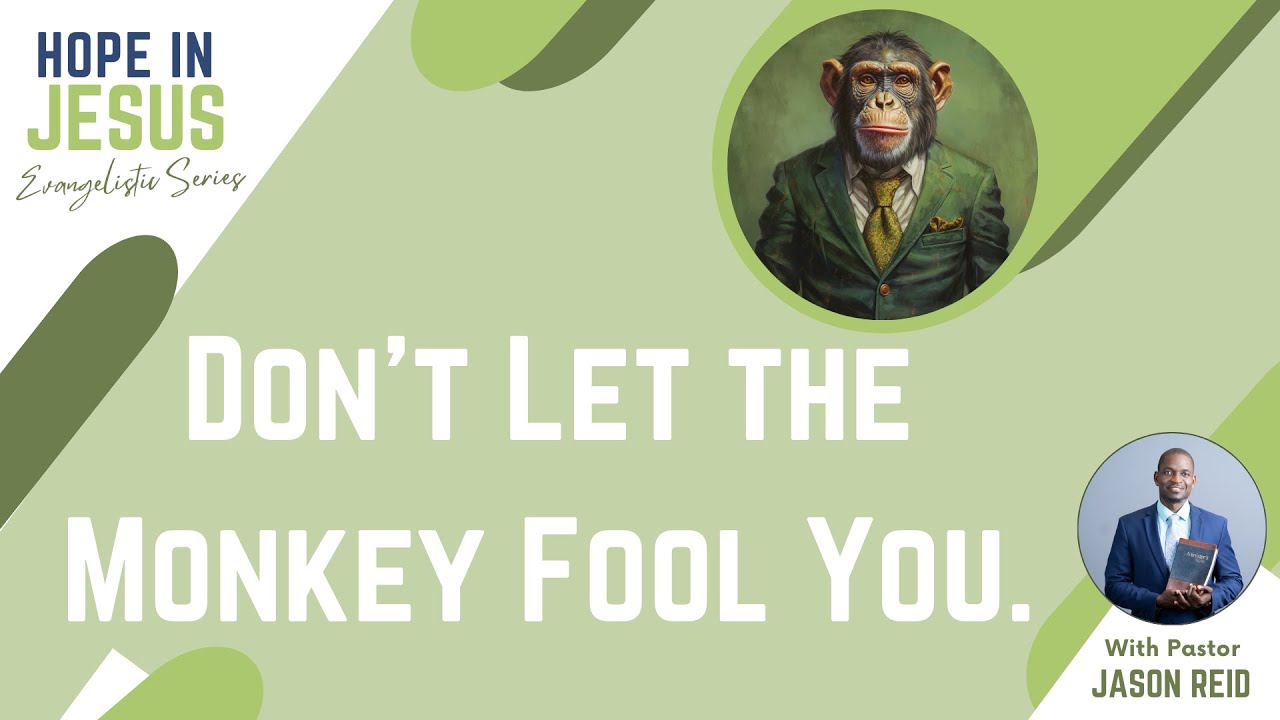 Don't Let The Monkey Fool You. - July 08, 2024 - YouTube
