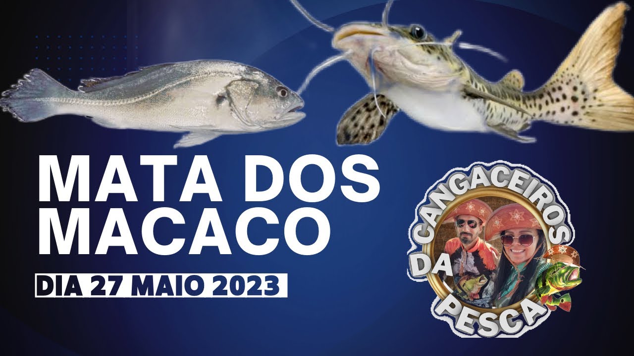 Pescaria no rio grande mata dos macaco batelão 1 #pescaria #fishing ...