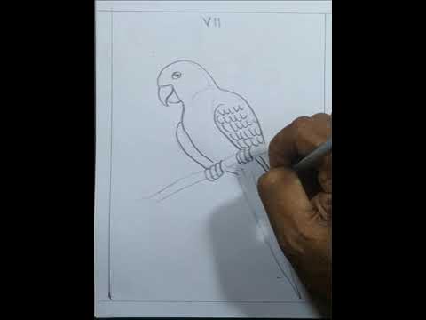 Class 7 Drawing Part 7 - YouTube