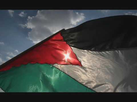 дабка  палестинская 1