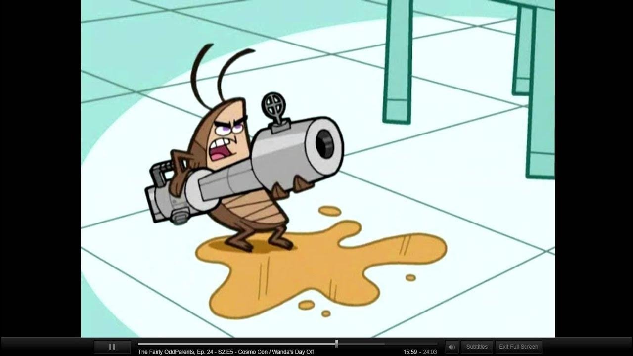 Showing our recent roach Infestation - YouTube