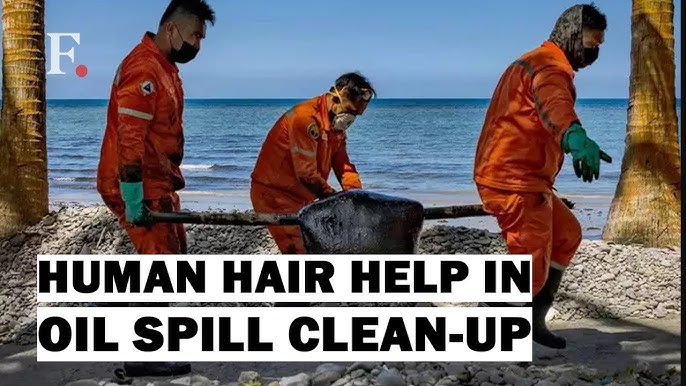 Oil Spills Effects On Humans