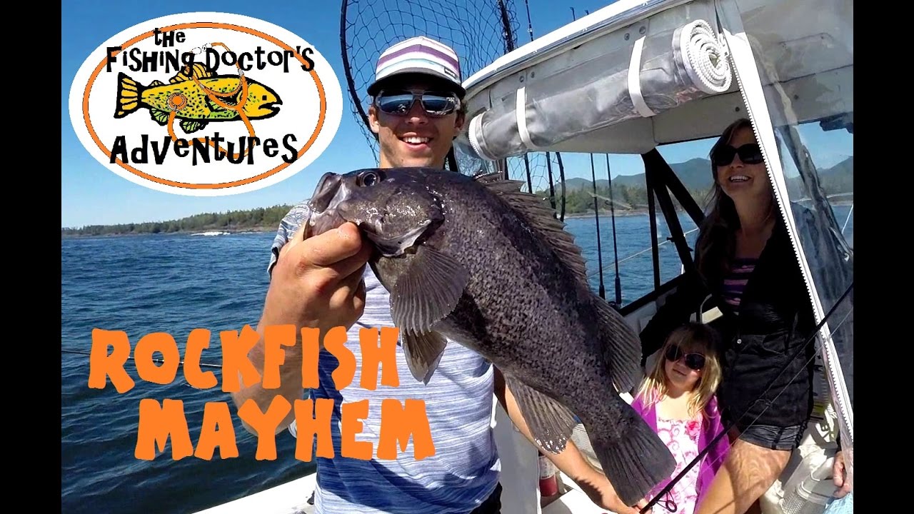 Crazy Buzz Bomb Black Rockfish Fishing Action - YouTube