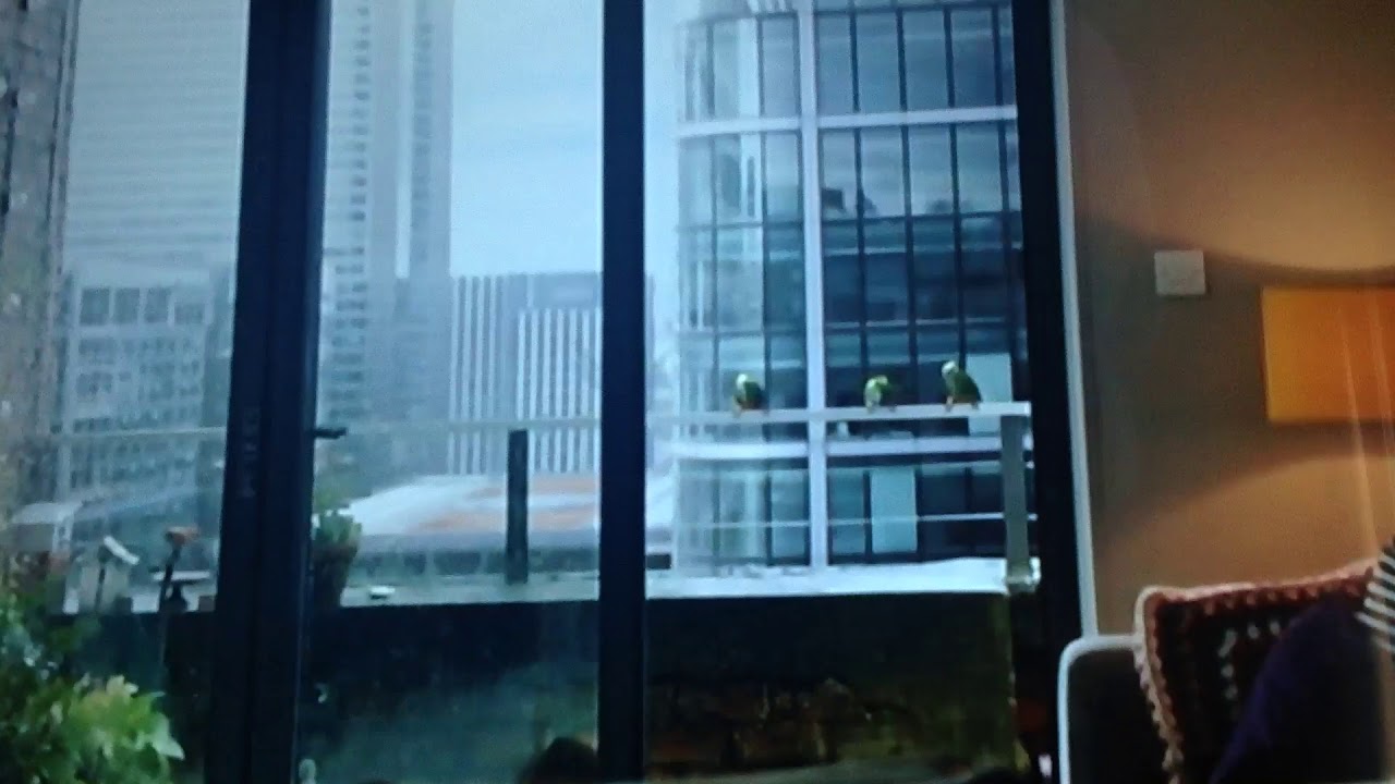 The Proposal - Channel 5 Intro - YouTube