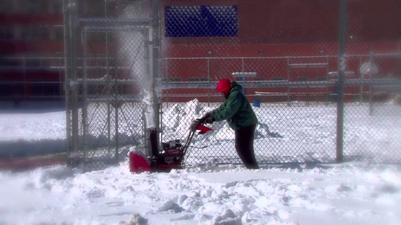 P.S. 186 Walter J Damrosch School - YouTube