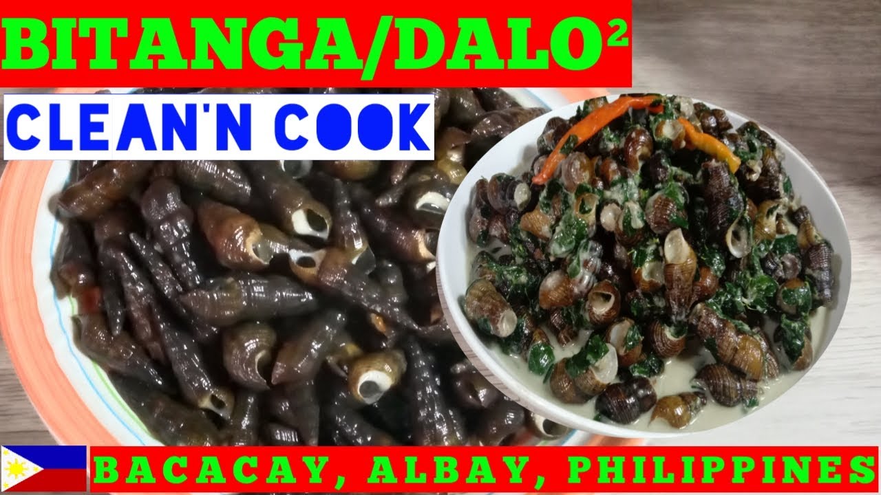 Ginataang Bitanga Snail Clean And Cook | Lutong Probinsya | Bacacay ...
