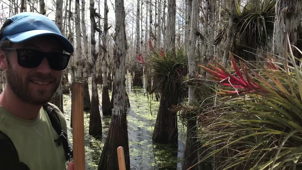 EP 16: Everglades, Dry Tortugas, Biscayne - YouTube