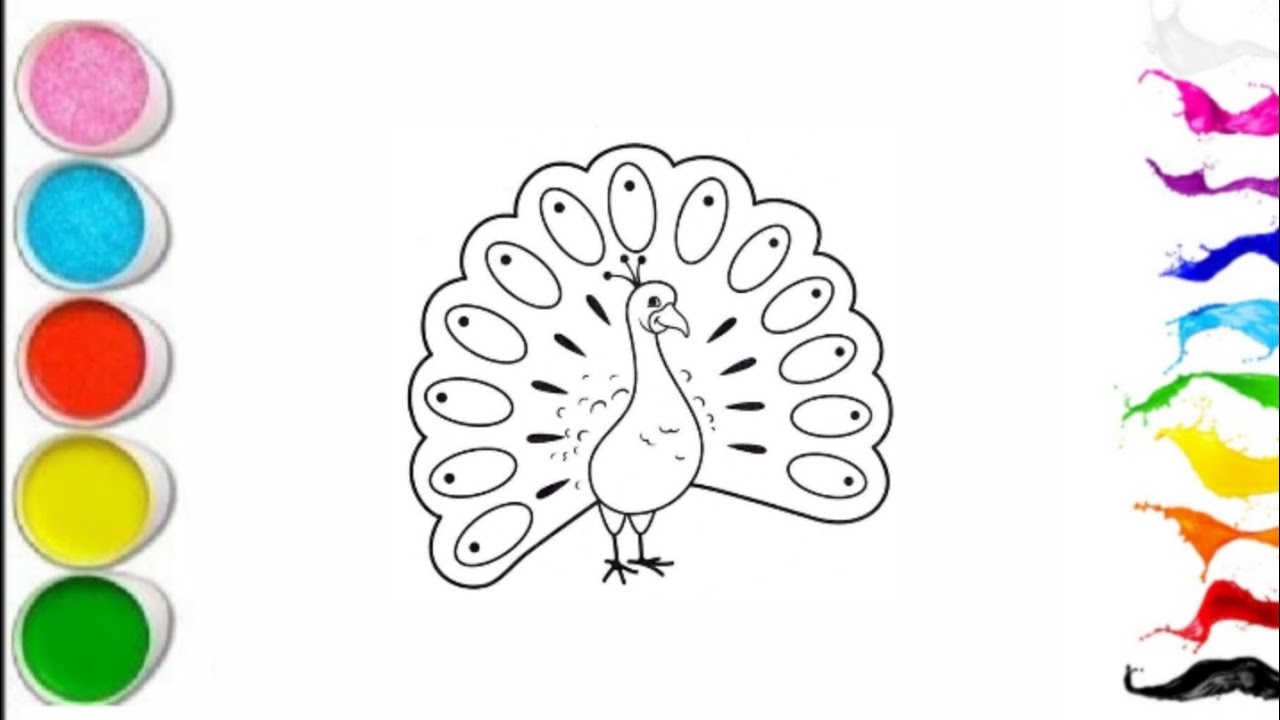 how draw peecock for beginners/peecock drawing/learn step by step - YouTube