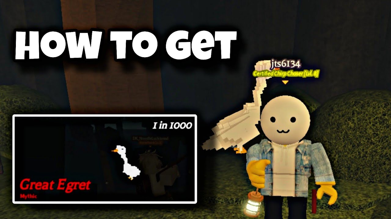 [LOCATION] How to Get Great Egret in Beaks Roblox | Mythic Bird - YouTube