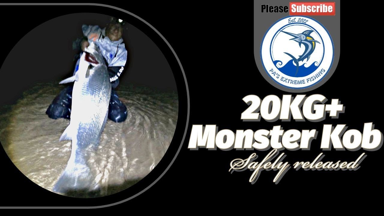 MONSTER SALMON CAUGHT AND RELEASED AT UMKOMAAS BEACH // mullet livebait ...