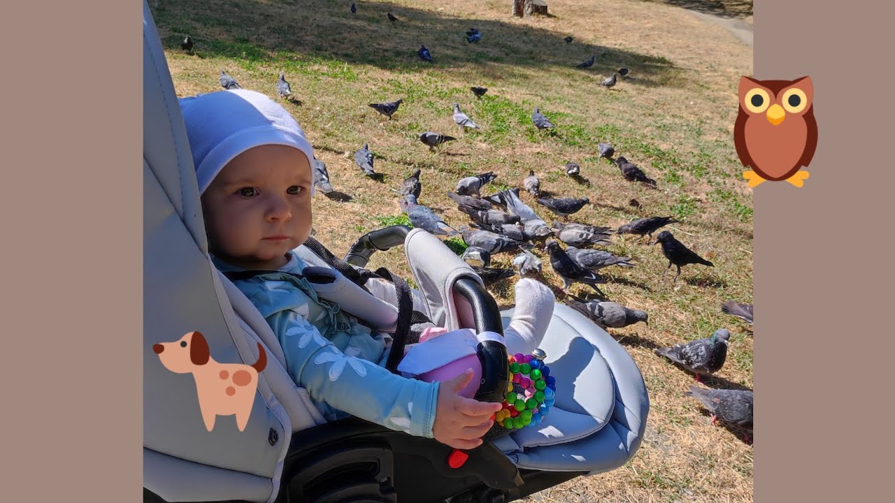 Cool funny videos of children and animal dogs - YouTube