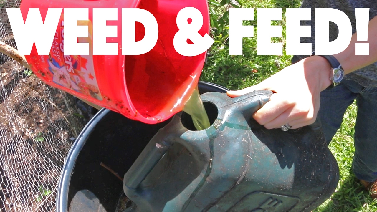 Combining Weeding and Fertilizing - YouTube