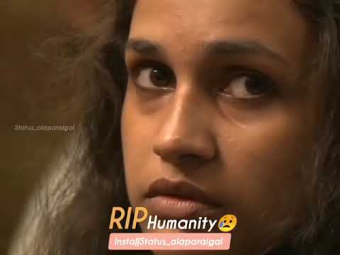 Humanity Whatsapp status video