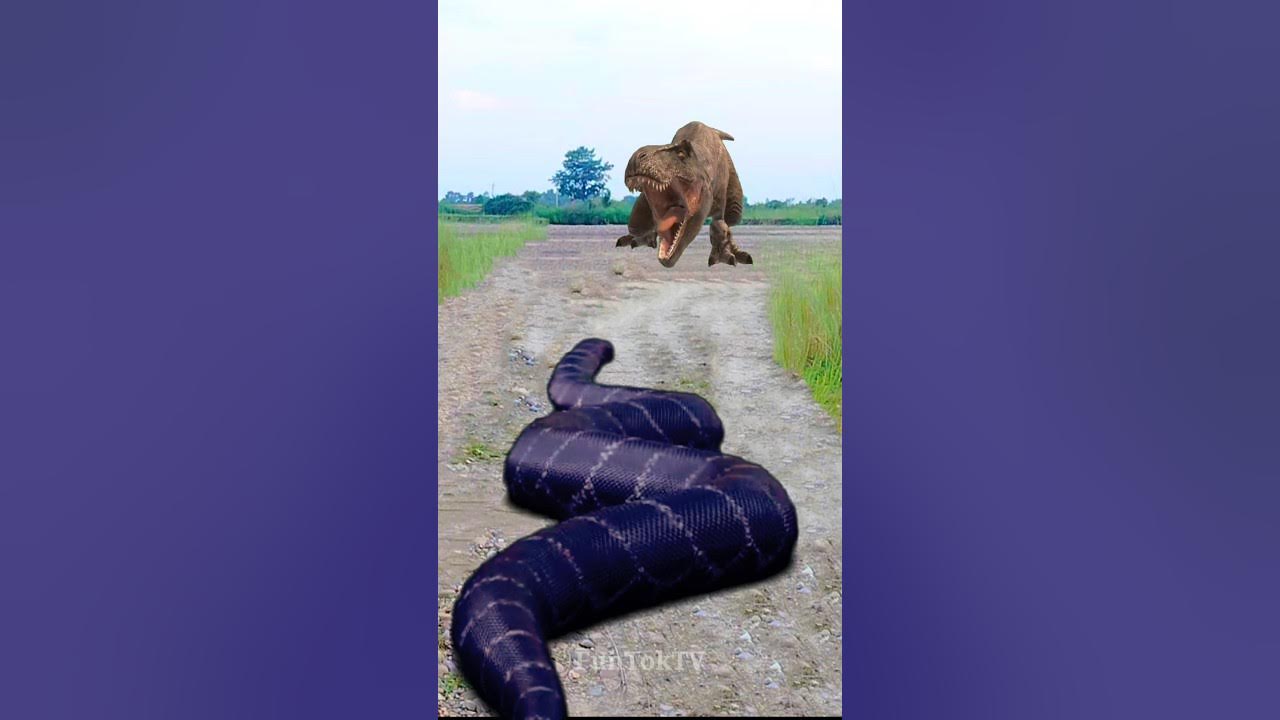 T-Rex Dinosaur 🦖Vs🐍Anaconda Snake in Fight VFX Video #dinosaur # ...