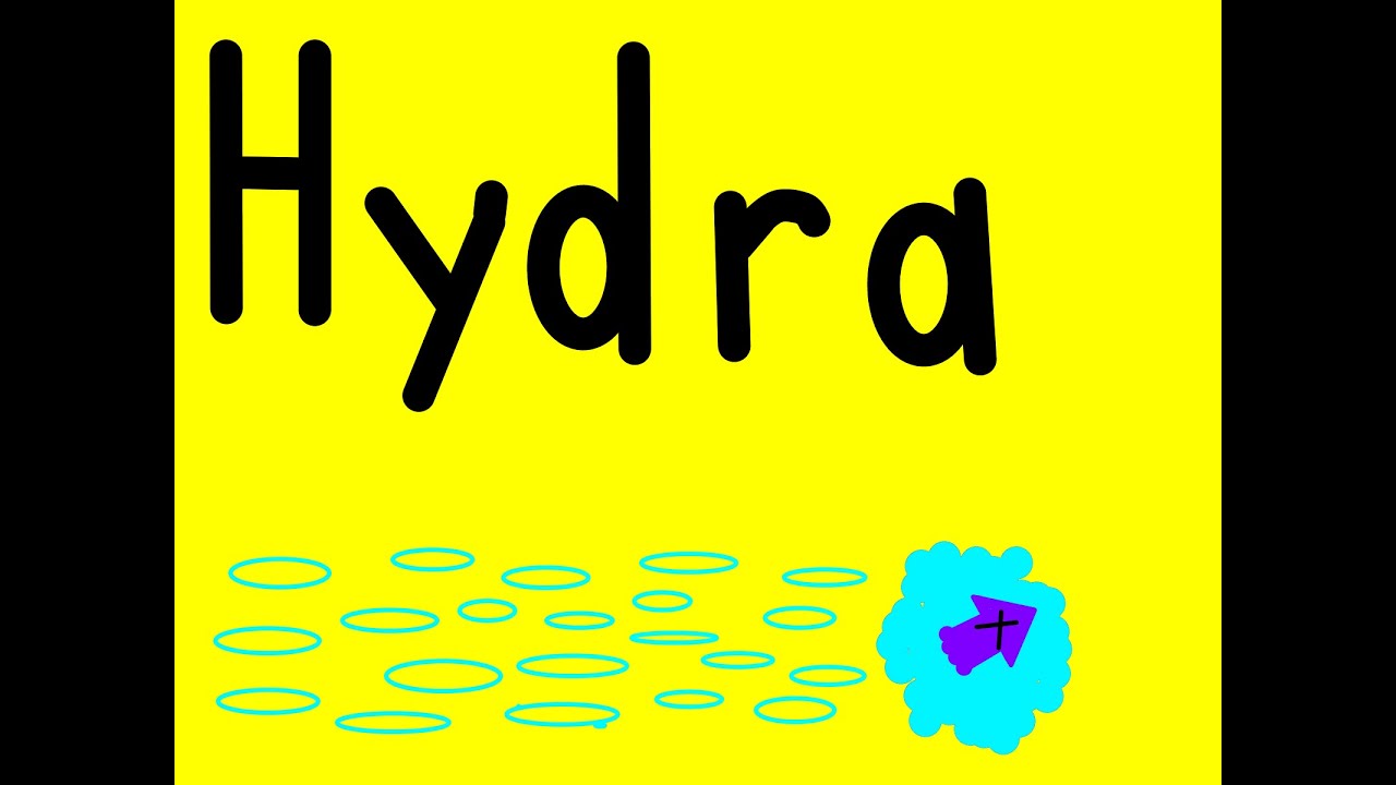 Splatoon 3 Hydra Splatling compilation(splatting enemies). - YouTube