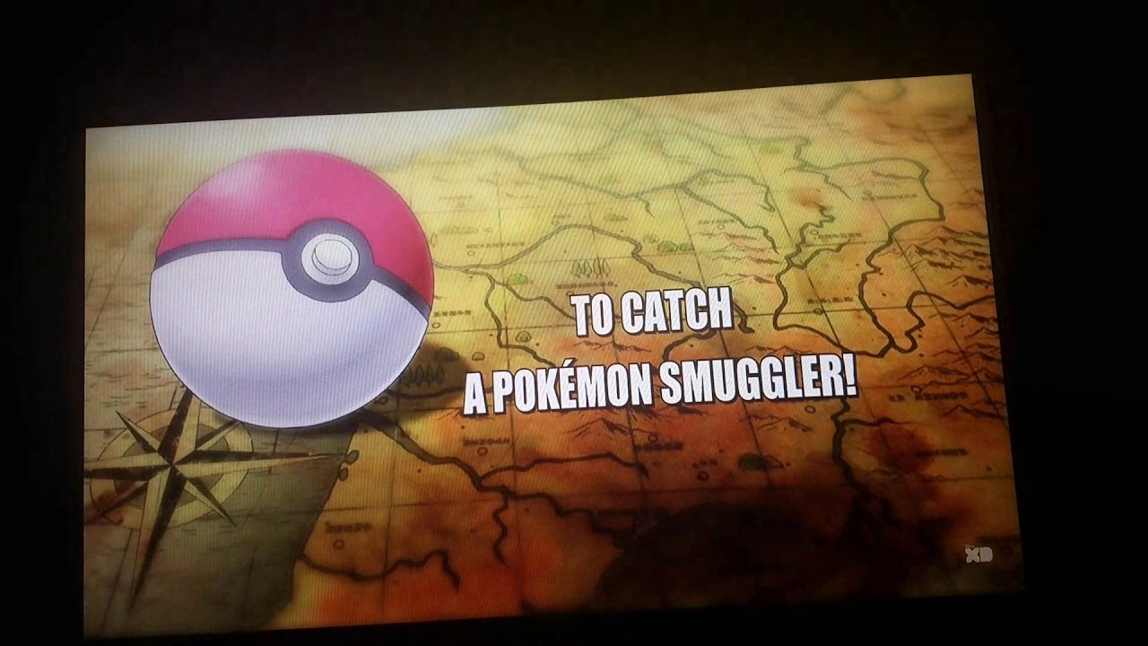 Pokémon the Series: XY: To Catch a Pokémon Smuggler! - Title Card (Hulu ...