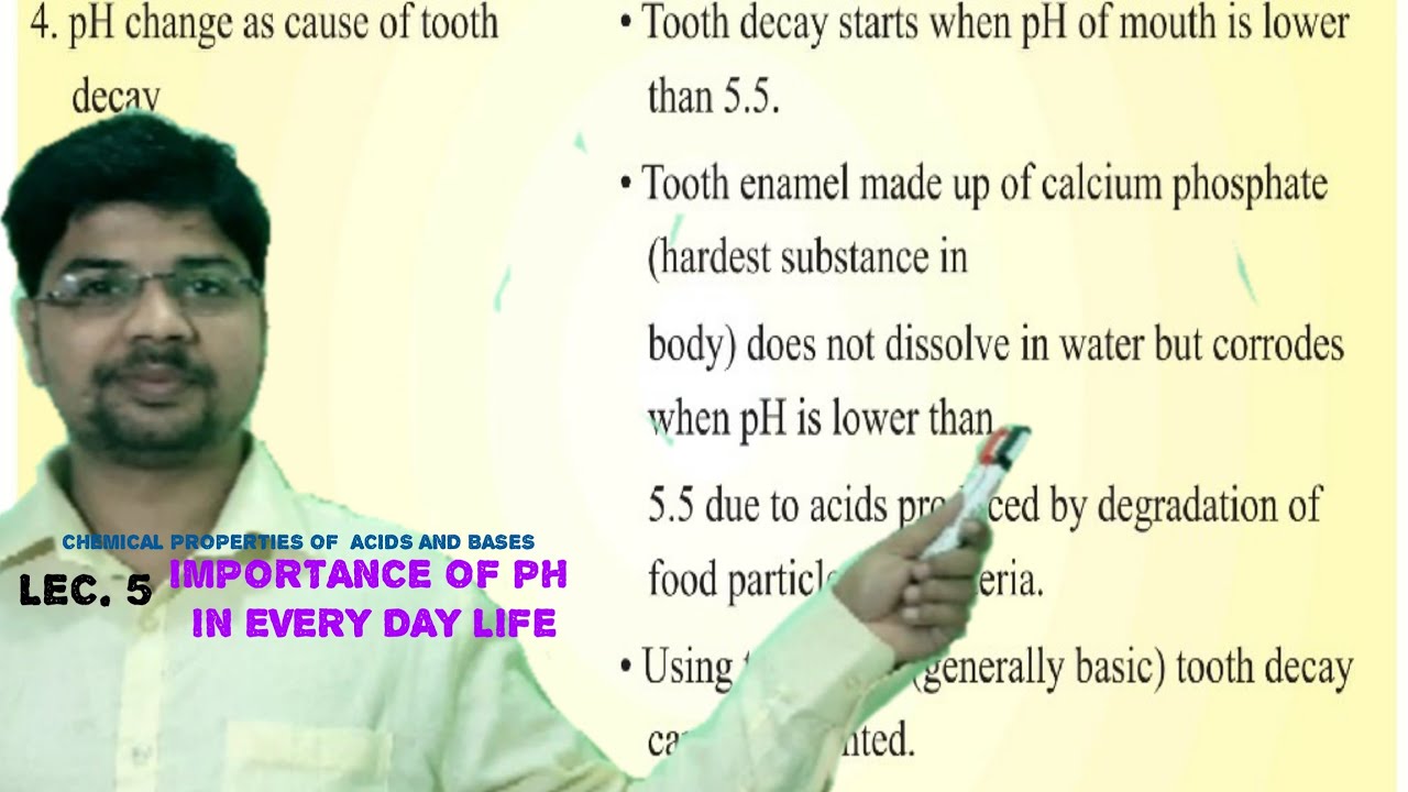 IMPORTANCE OF PH IN EVERYDAY LIFE CLASS 10 CHEMISTRY CHAPTER 2 importance-of-ph-in-everyday-life-class-10-chemistry-chapter-2