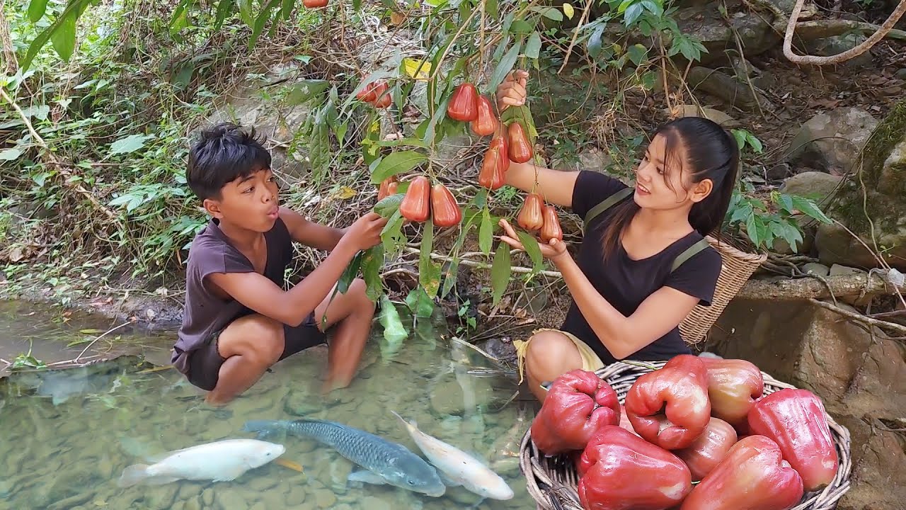 Catch Red fish and pick Rose Apple fruit for survival food, Fish roast ...
