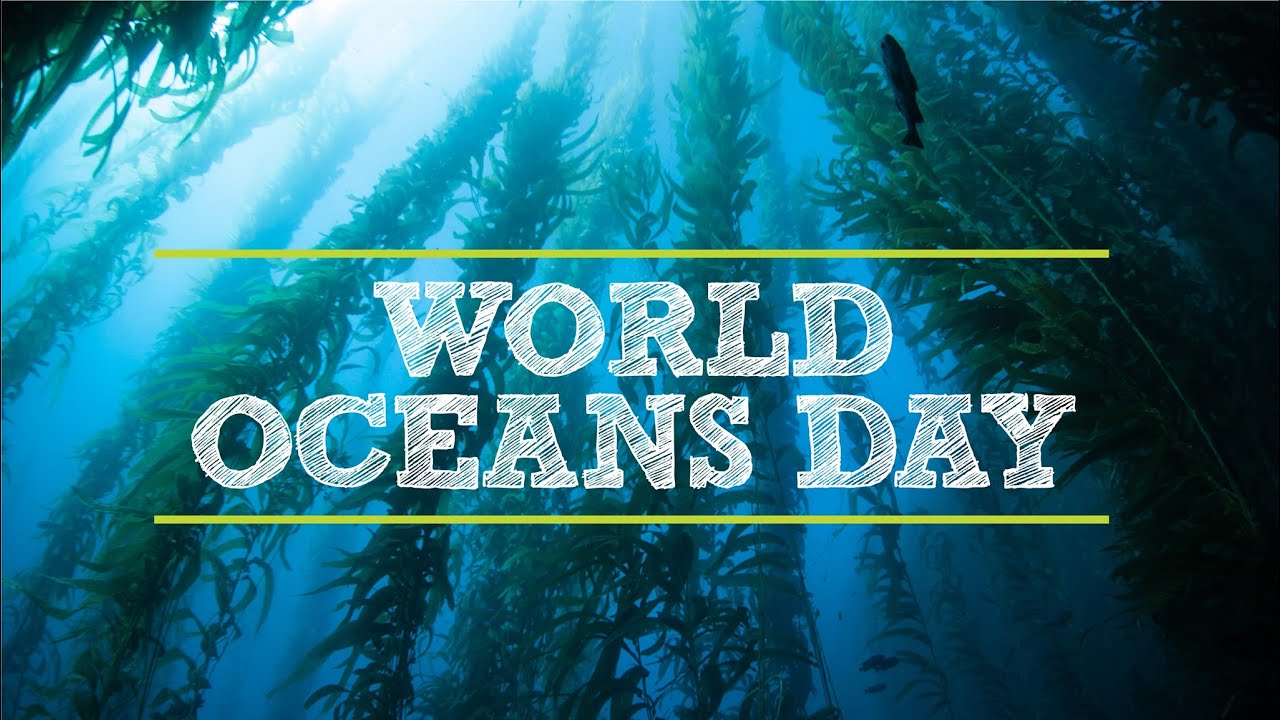 JUNE 8 - WORLD OCEANS DAY - YouTube