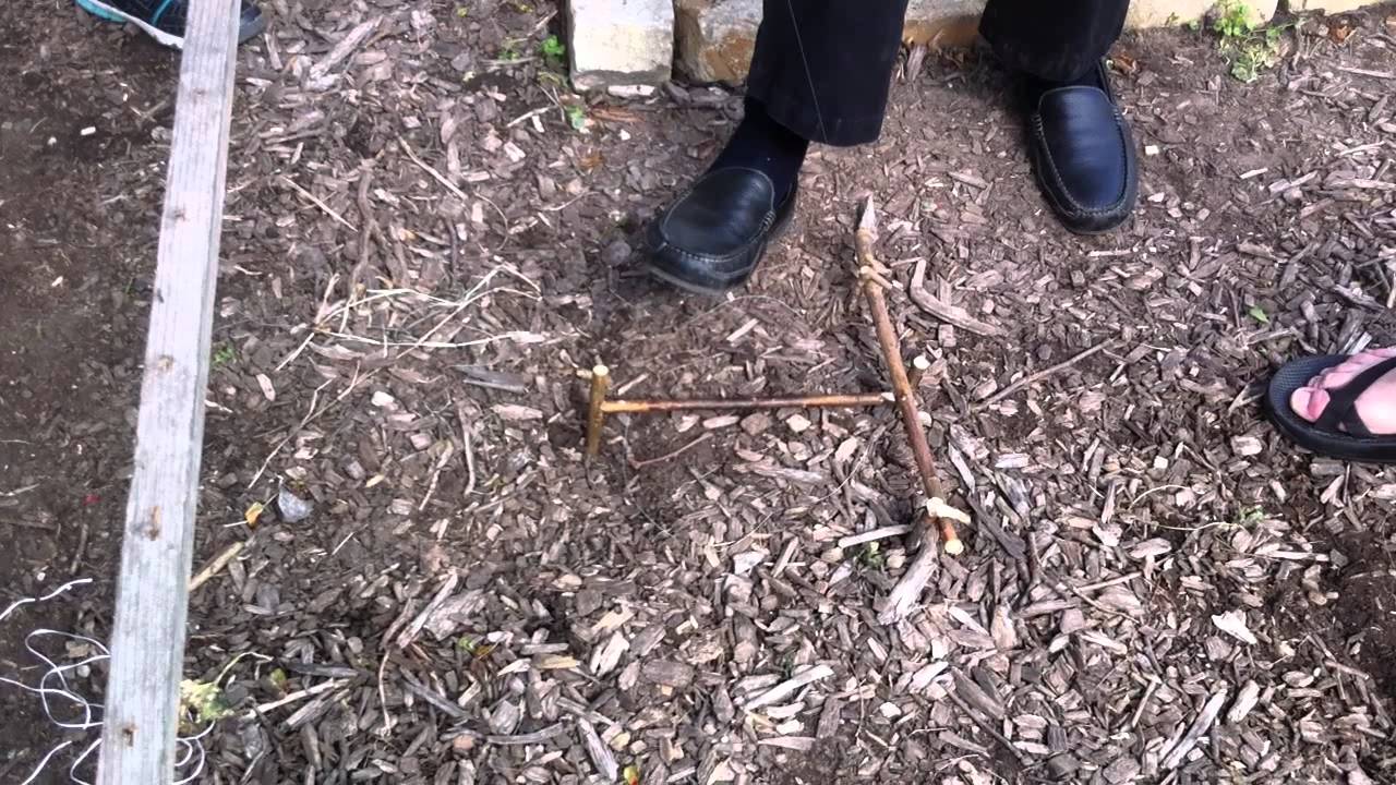 squirrel snares - YouTube