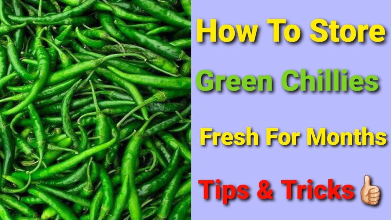 How to Preserve GREEN CHILLIES Fresh for MONTHS | Tips & Tricks ...