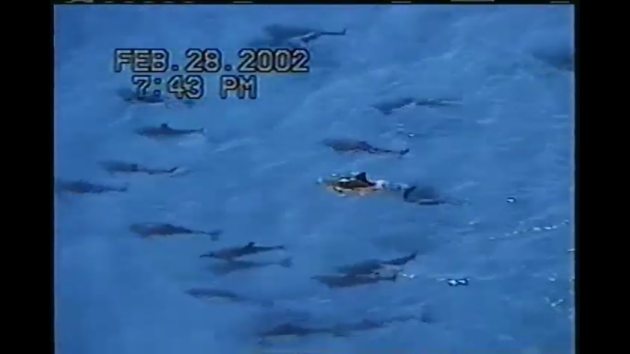 3-17 Australia 28 Feb 2002 - YouTube