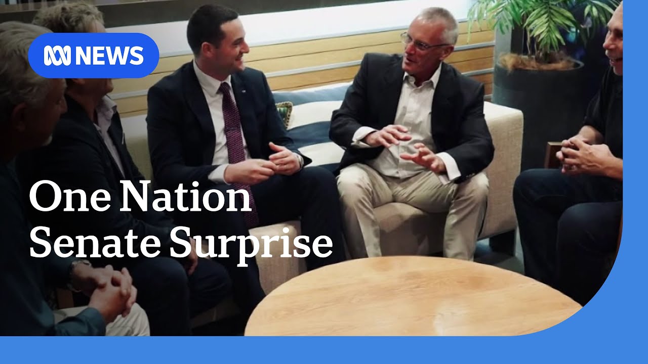 One Nation picks up surprise senate seat | ABC NEWS - YouTube