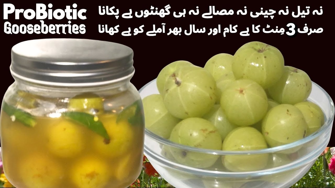 Probiotic Amla | How To Preserve Amla, Salted Gooseberries,Amla Recipe ...
