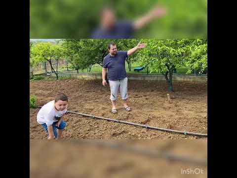 1 mayısta sebzelerimizi ektik/organik tarım/temiz gıda