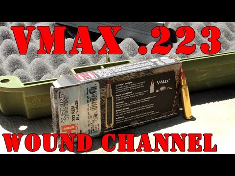 .223 VARMINT EXPRESS WOUND CHANNEL - YouTube