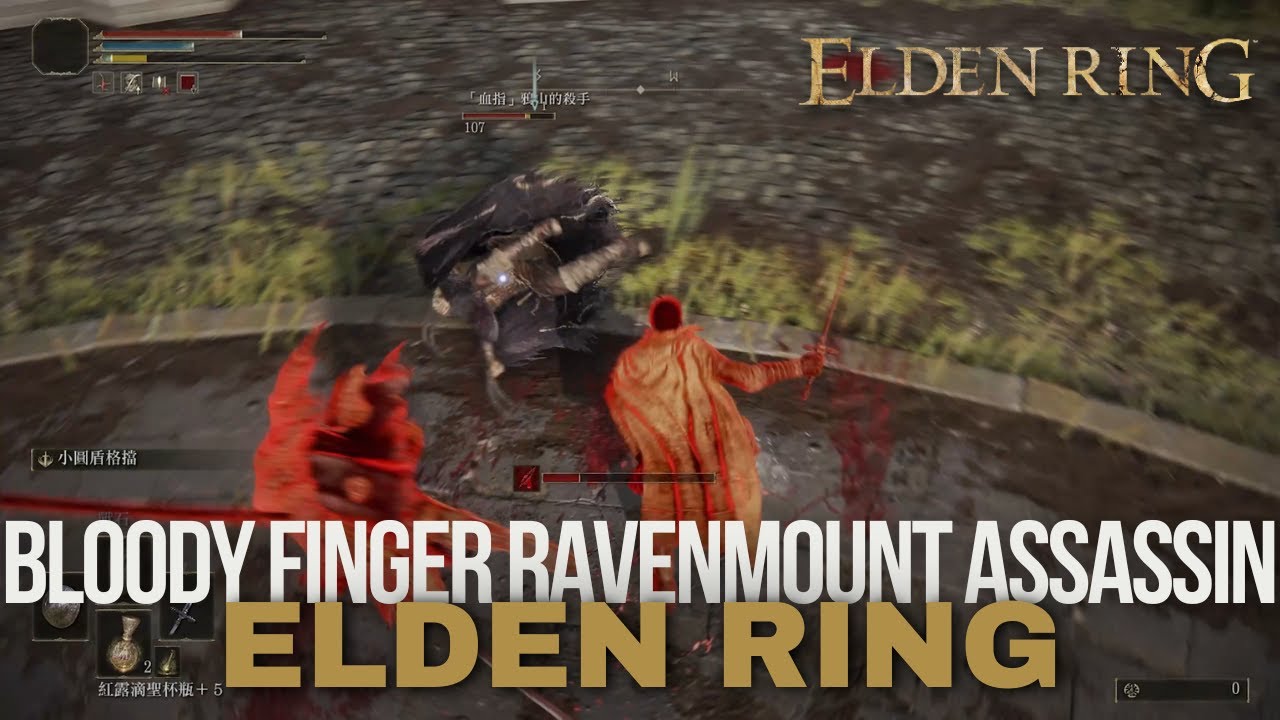 Elden Ring - Bloody Finger Ravenmount Assassin (2K 60FPS) - YouTube