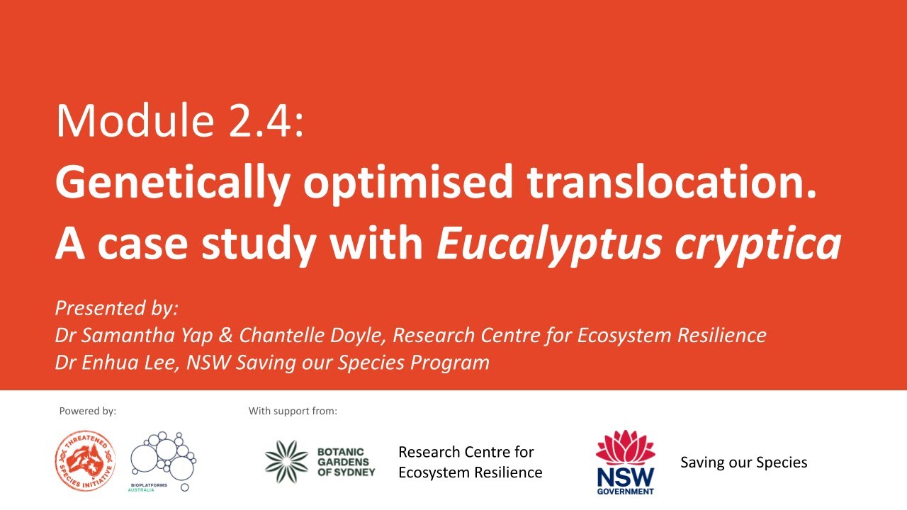 Module 2.4: Genetically optimised translocation. A case study with Eucalyptus cryptica - YouTube