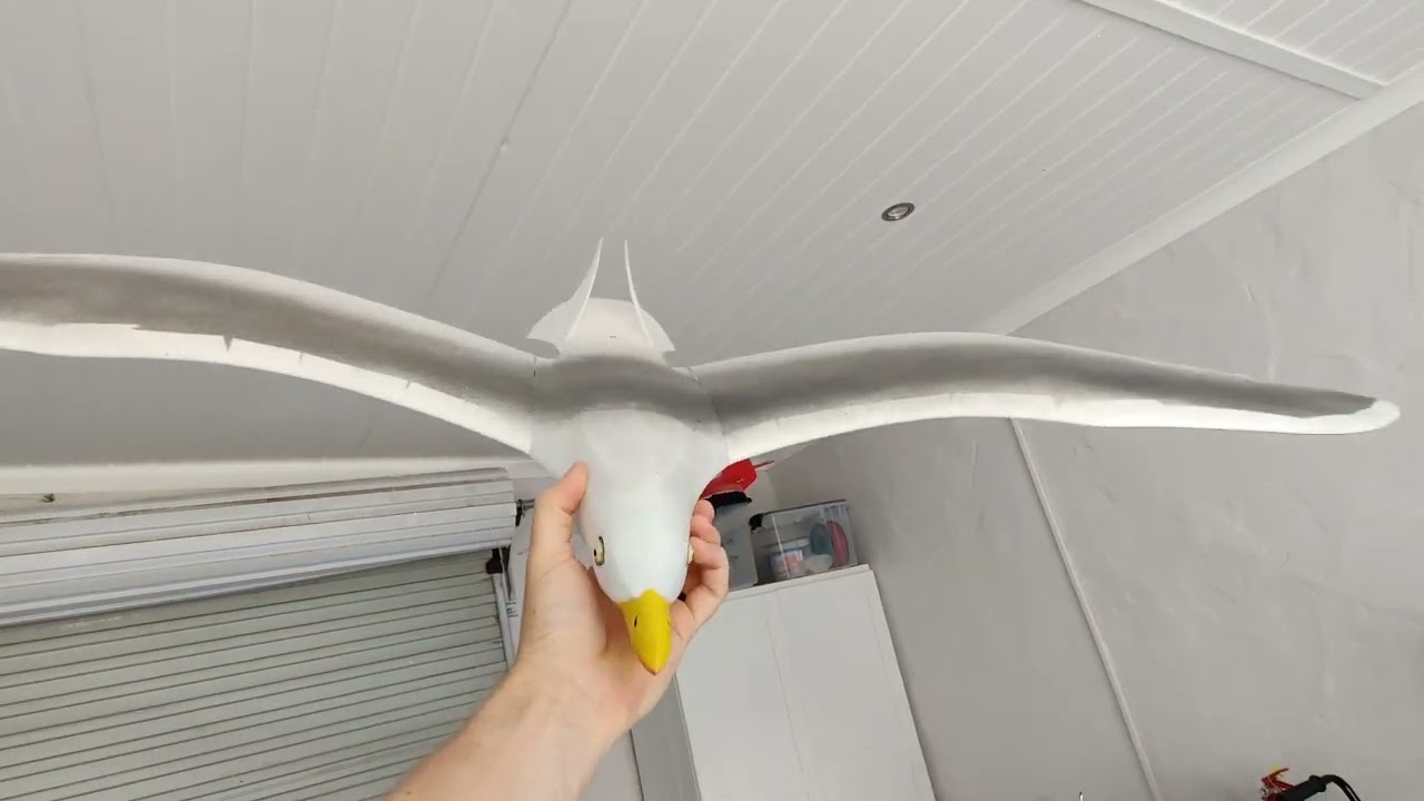 3D Printed PLANEPRINT Seagull Slope Soaring - YouTube