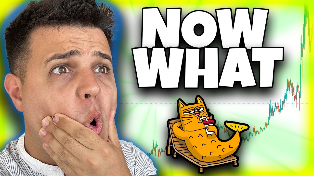 CATFISH Coin Catfish Crypto Token Price Prediction & Review Will I buy ...