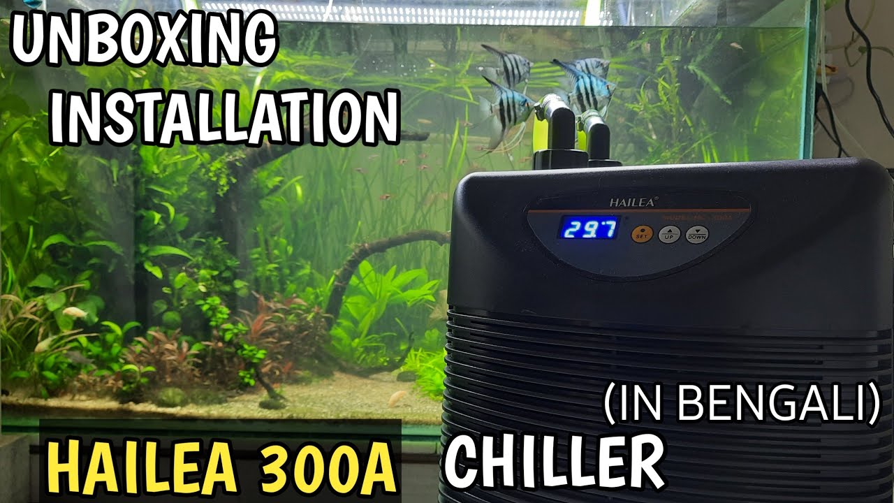 HAILEA 300A CHILLER UNBOXING & INSTALLATION (IN BENGALI) - YouTube