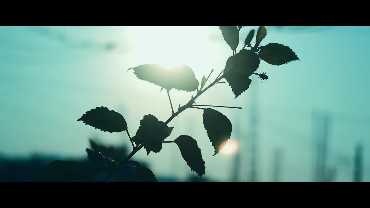 FUJIFILM X-T200 SAMPLE VIDEO || X-SERIES