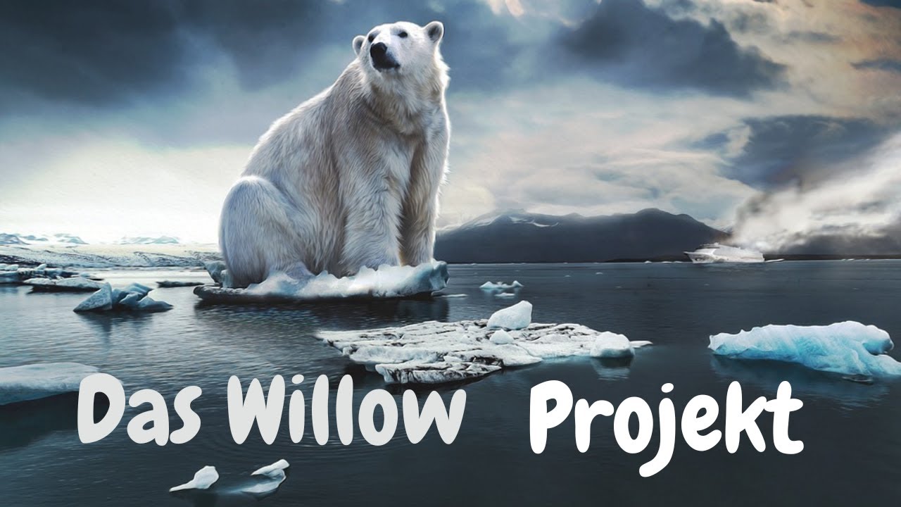 Willow Project erklärt - YouTube