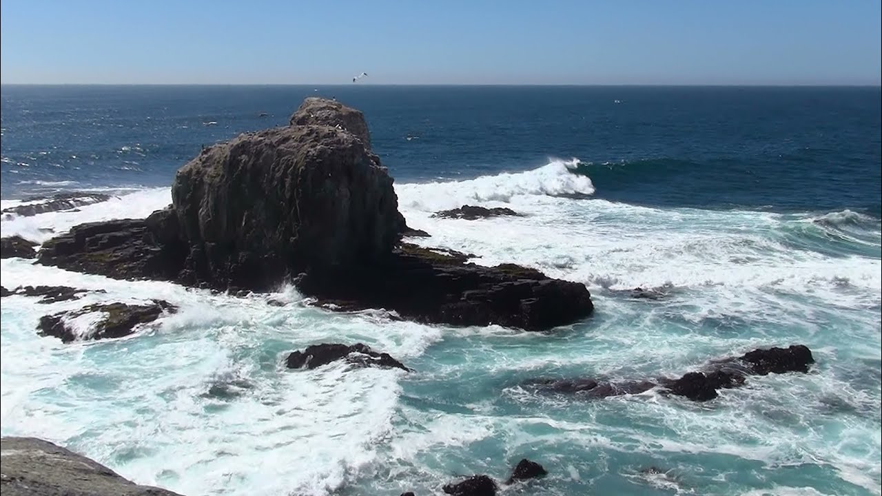 Surf beach - Pichilemu, Chile - YouTube